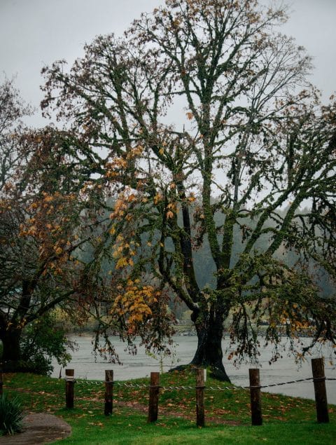 Celebrate Yourself Fall Retreat - Heriot Bay Inn | Top Quadra Island ...